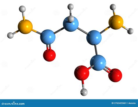 3d Image Of Asparagine Skeletal Formula 276342568