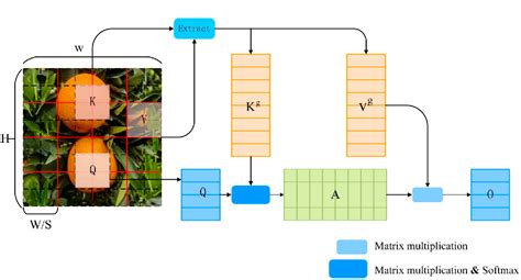 Figure 4 From Optimizing The Yolov7 Tiny Model With Multiple Strategies For Citrus Fruit Yield