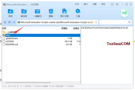 Microsoft Activation Scripts Mas 电脑系统与微软软件免费激活工具 特资啦！个人资源分享站