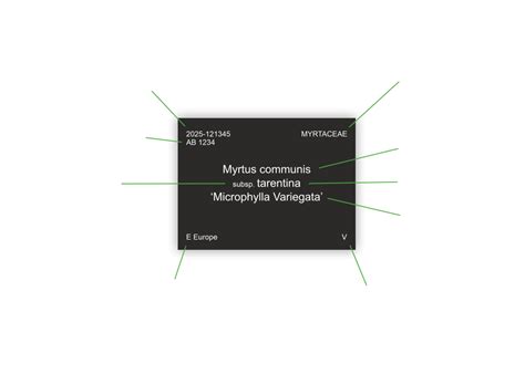 Label Layout And Design Sheen Labels Ltd