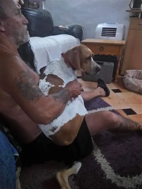 Grace Pointer Rescue Service