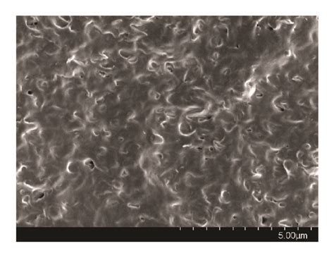 Sem Micrographs Of Ldpe Blends Before And After Solvent Extraction A