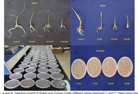 Figure 1 From Assessment Of Seedling Traits Of Rice Landraces Under Different Saline Conditions