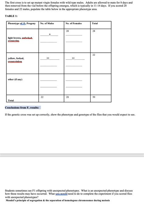 Solved The First Cross Is To Set Up Mutant Virgin Females Chegg Com