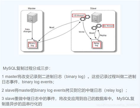 Mysql数据库高级五：主从复制不同数据库之间的数据同步 Poo Csdn博客
