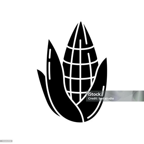 옥수수 검정 글리프 아이콘 잎이있는 콘콥 파이프 스위트콘 전통적인 남미 농업 히스패닉 국가 재배 공백에 실루엣 기호 벡터 격리 된 그림 개념에 대한 스톡 벡터 아트 및 기타