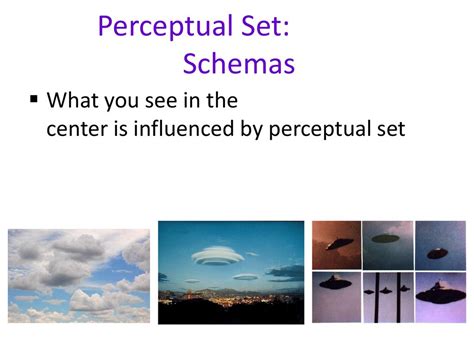 Perceptual Schemata Schematic Representation Of The Perceptu