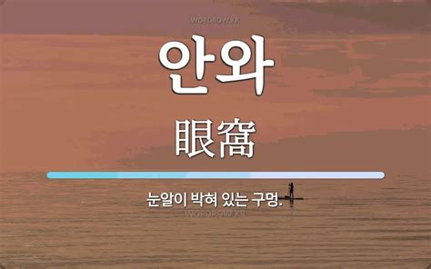 안와 뜻 눈알이 박혀 있는 구멍