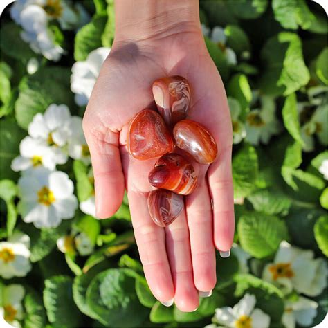 Червен Ахат Бразилия Zenlifebg