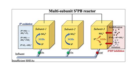 Thermodynamic Inhibition Of Microbial Sulfur Disproportionation In A Multisubunit Designed