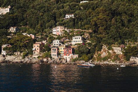 Pidocchio Bilder Stock Fotos And Videos Adobe Stock