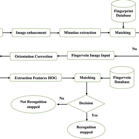 Block Diagram Of Proposed Algorithm For Finger Vein Image Recognition Download Scientific Diagram