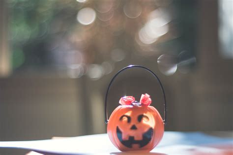 무료 이미지 호박 할로윈 잔디 수확 빨간 주황색 잭 오 랜턴 과일 식물 미소 칼 바자 식품 6000x4000 Lucas George Wendt