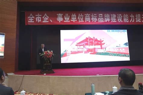 重庆市商标协会第十四次公益主题讲座——【全市企、事业单位商标品牌建设能力提升培训班】圆满结束 公司新闻 强大知识产权集团