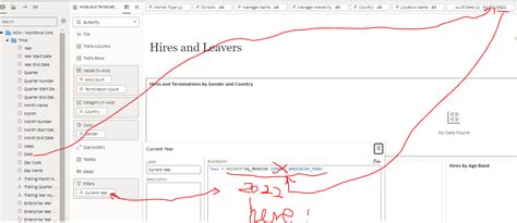 How To Access Global Filter Value From Section Filter — Oracle Analytics