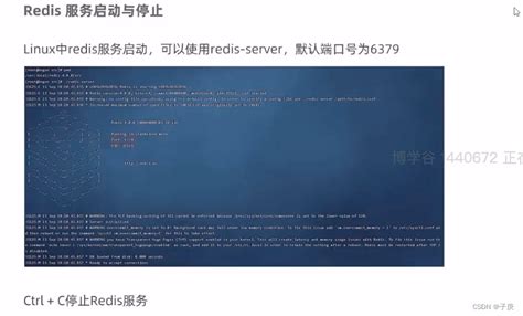 Redis 的使用 Csdn博客 Redis 的使用 Csdn博客
