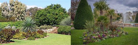 What Is Pruning The Importance And Benefits Of Pruning