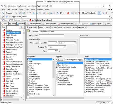 Getting To Know Resort Executive Forms Edit Toolbar