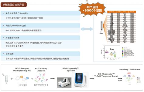 单细胞idp蛋白组不含wta 乐备实labex官网 单细胞idp蛋白组不含wta 乐备实labex官网