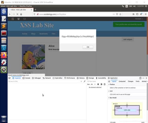 Cross Site Scripting Xss Attack Lab网安实验task 1 Posting A Malicious