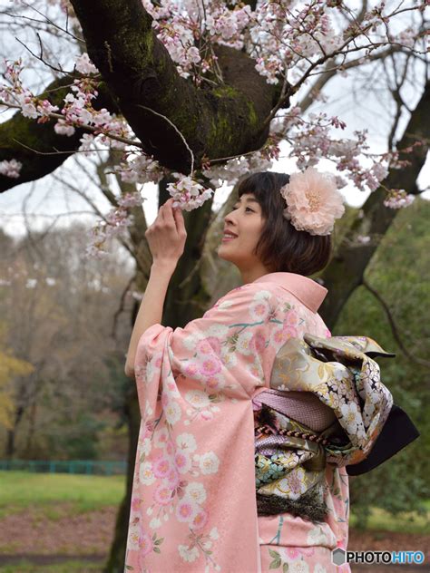 桜を愛でる1 By ニーナ （id：6584067） 写真共有サイト Photohito
