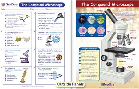 W The Compound Microscope Visual Learning Guide