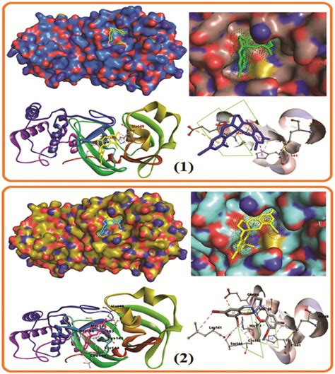 Nickelii Complex Nil 1 1 And Nil 2 2 Are Docked Into Download Scientific