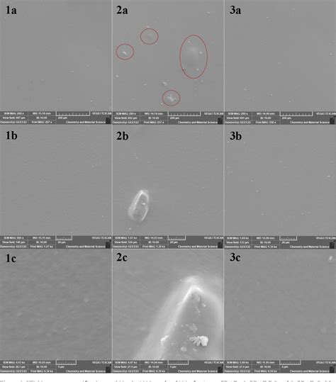 Figure 6 From Biochar As A Processing Additive In Poly Butylene Adipate Co Terephthalate Pbat