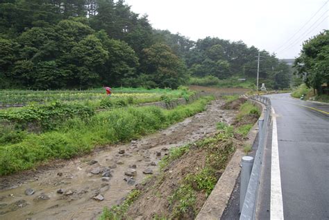 위촌리 송양초등학교 잔디밭조성현장 및 마을하천 작업현장 마을소식 사단법인 우리마을
