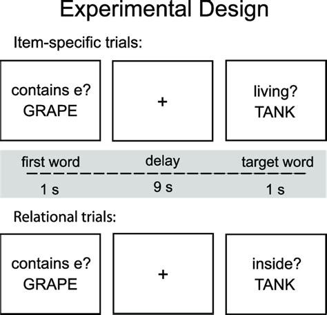 Example Stimuli And Task Timing For Encoding Phase Download