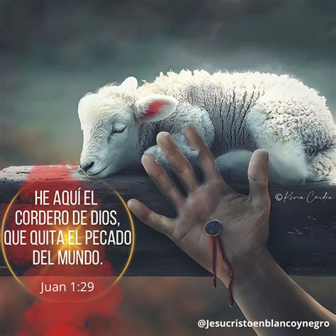 El Cordero De Dios Este Es El Cordero De Dios Filipenses 4 8 Juan 129