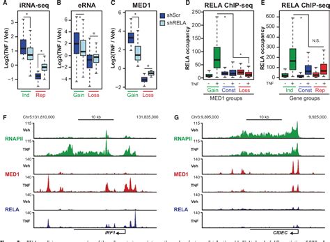 Figure 2 From Acute Tnf Induced Repression Of Cell Identity Genes Is