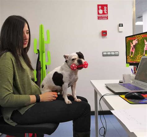 About The Game Development Company Starloop Studios