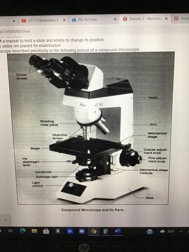 Microscopy Flashcards Quizlet