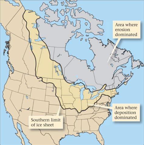 Final Exam Flashcards Quizlet