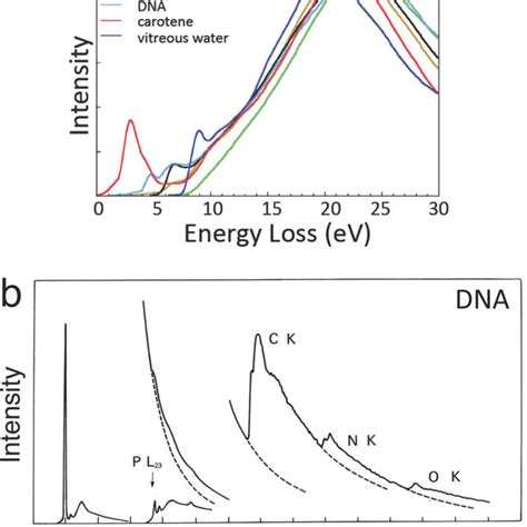 Stem Bf Adf And Haadf Detectors And Their Annular Ranges The