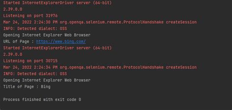 how to run selenium tests on internet explorer qa automation expert