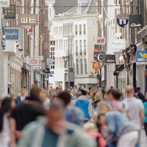 Quantitative Consumer Research Innovation Insight Lab