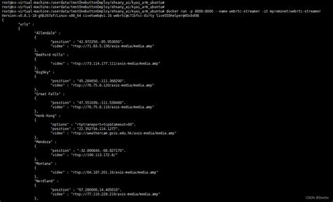 Docker Webrtc容器部署方案（mpromonetwebrtc Streamer） Csdn博客