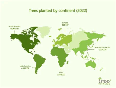Tree Planting Statistics How Many Trees Planted Per Year Tree Vitalize