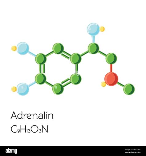 Adrenalin Adrenaline Epinephrine Hormone Structural Chemical Formula