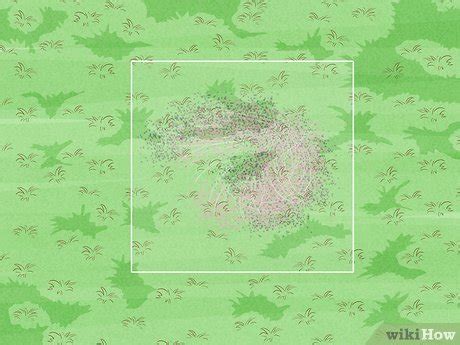 3 Ways To Treat Lawn Fungus WikiHow