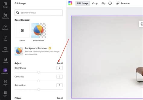 How To Change Tint Color Of An Image In Canva SoftTuts
