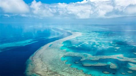 Python 为列表中的元素分配唯一值 知乎