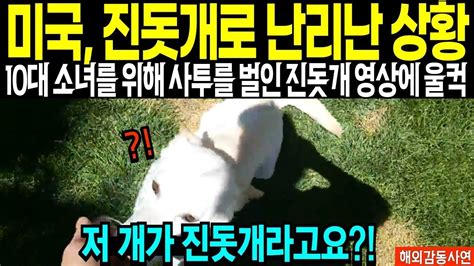 해외감동사연 미국 소녀를 구한 진돗개 알고 보니 충격적인 정체 전 세계가 놀란 이유는 Youtube