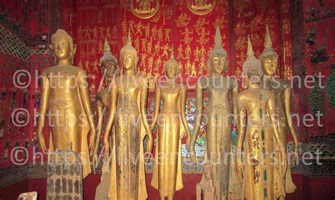 Simone King Death By Nylon Live Encounters