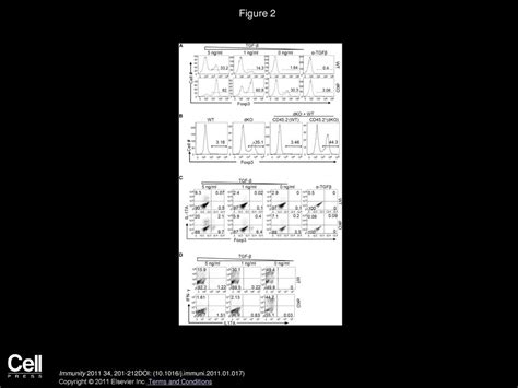 The Kinases Mekk2 And Mekk3 Regulate Transforming Growth Factor β