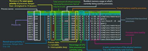 Sm Ehsan Mastering Htop In Linux The Ultimate Guide