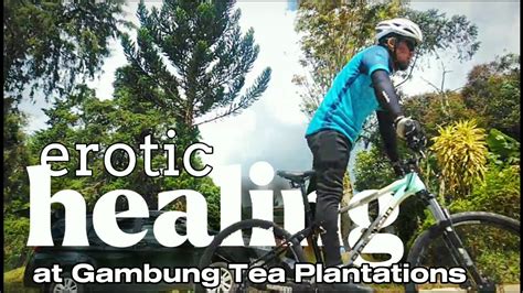 EROTIC HEALING AT GAMBUNG TEA PLANTATION Gowes Santai Ngeloop Gambung Ciwidey Ke Pangalengan