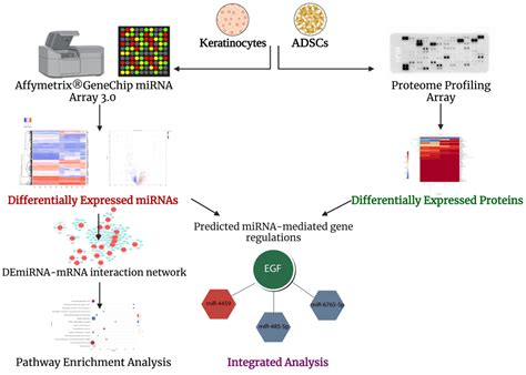 mir pcr array